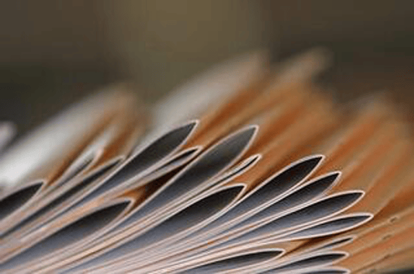 Types of Binding: Know Your Options